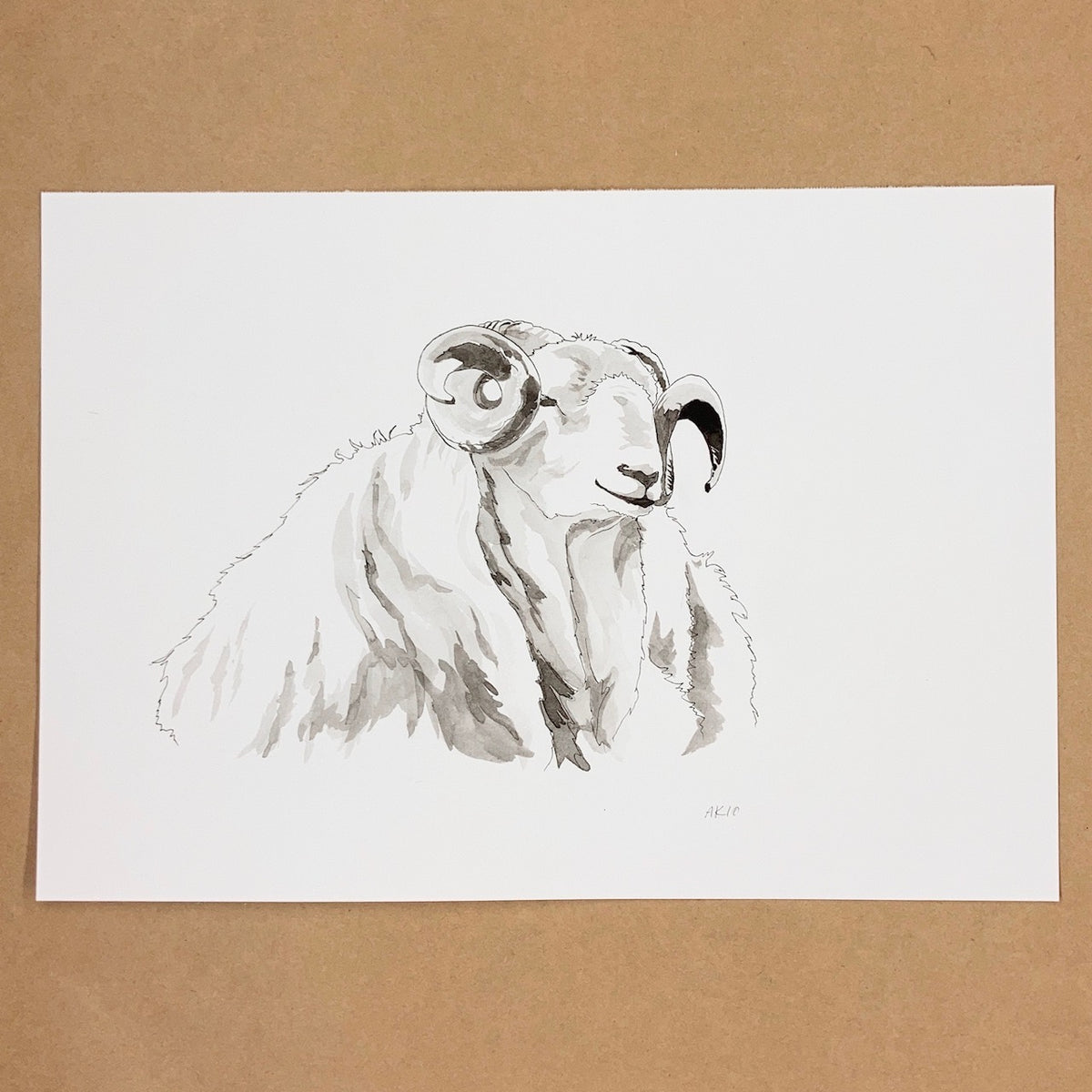 Original Ram Pen & Ink Drawing – Irene Akio