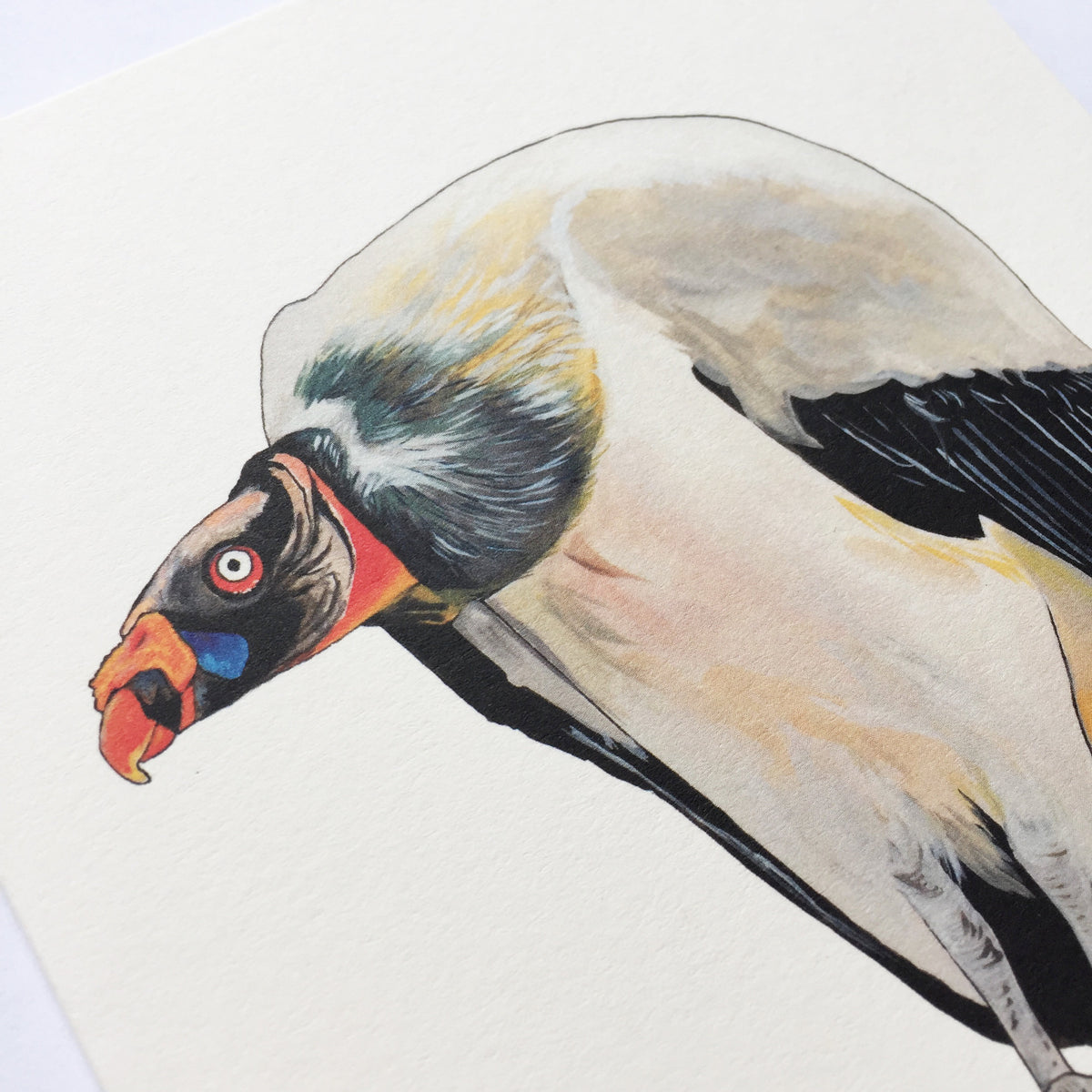 Vulture Card – Irene Akio